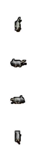 Rat | Orake Wikia | Fandom