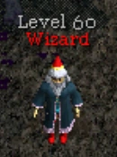 Wizard | Orake Wikia | Fandom