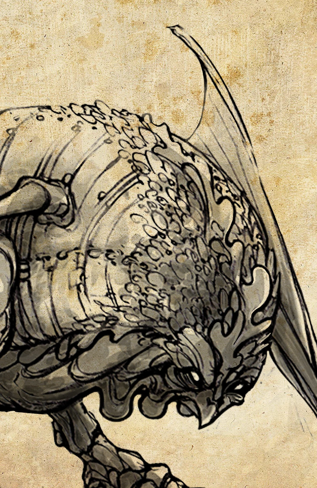 Cocatrix | Wiki Orba Fabula | Fandom