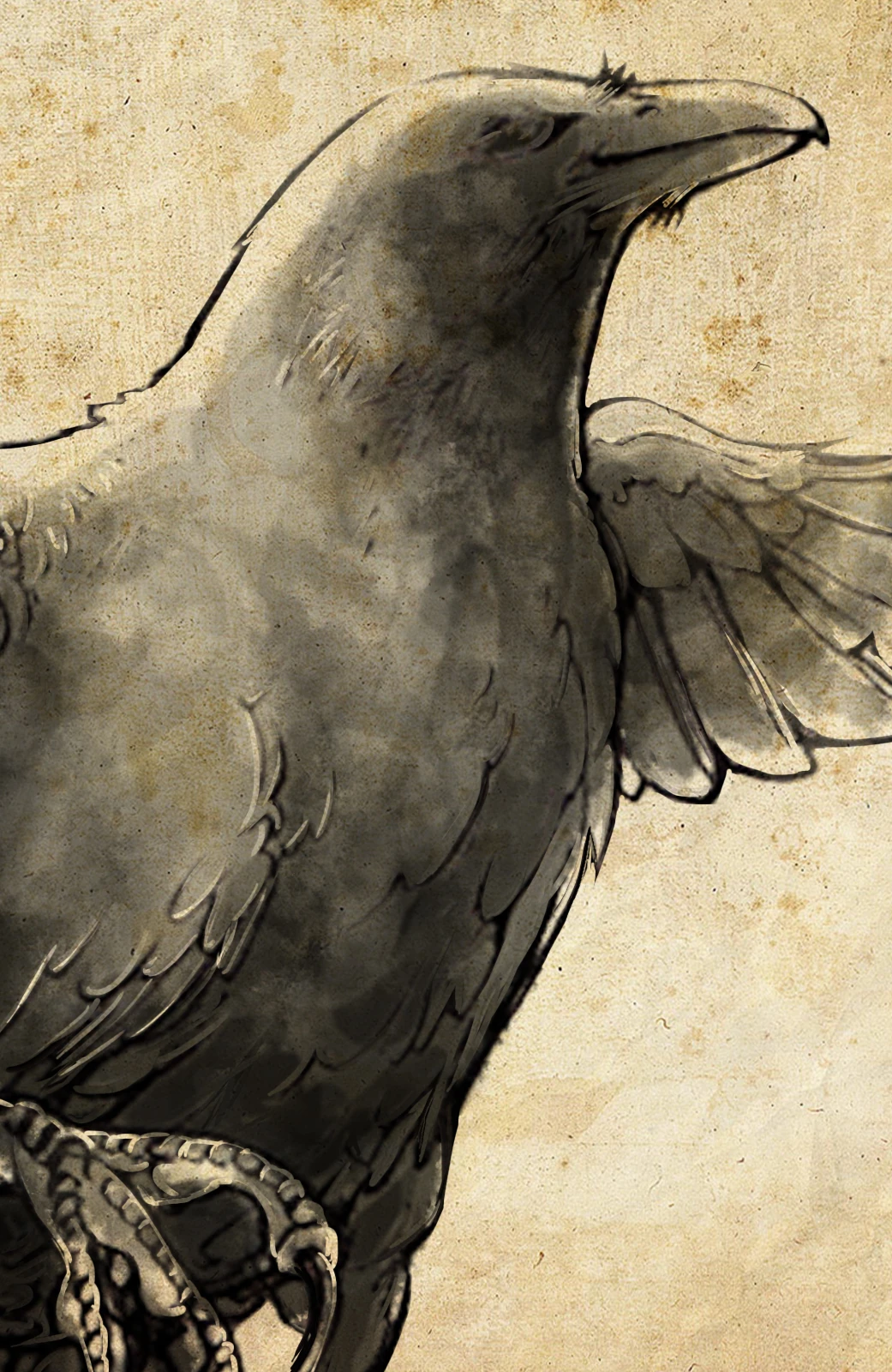 Valraven | Wiki Orba Fabula | Fandom