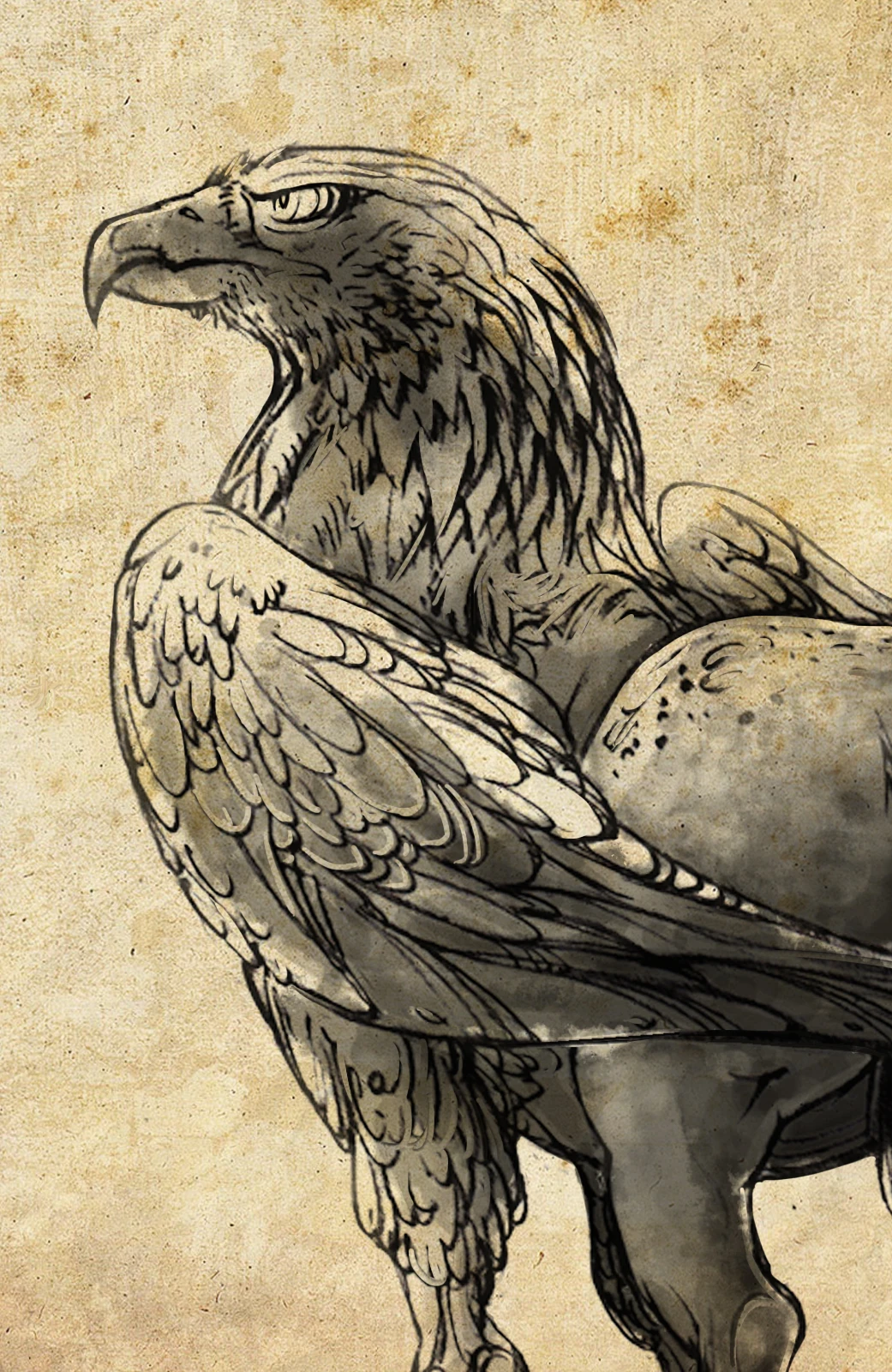 Hippogriffe | Wiki Orba Fabula | Fandom