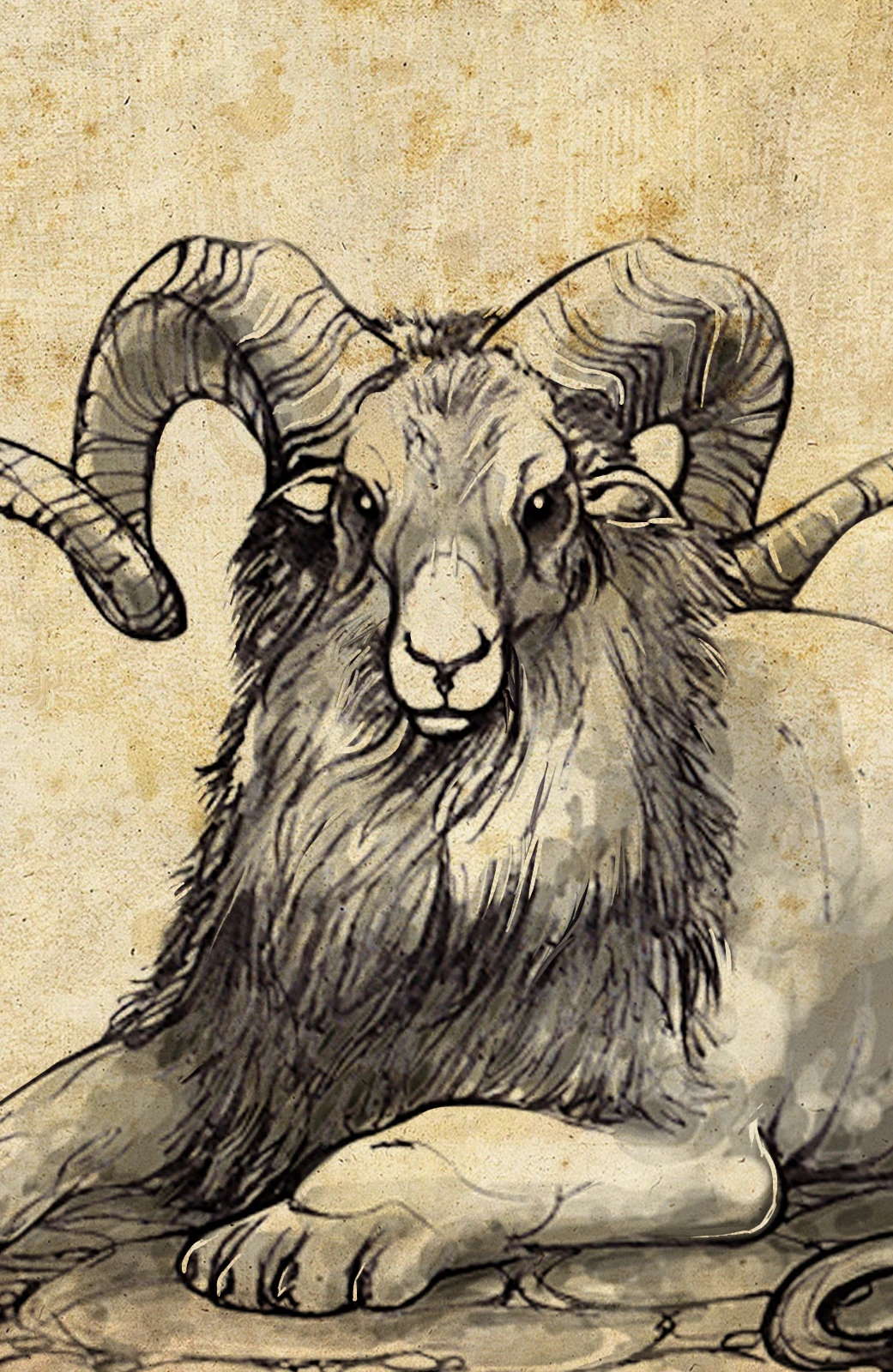 Criosphinx | Wiki Orba Fabula | Fandom