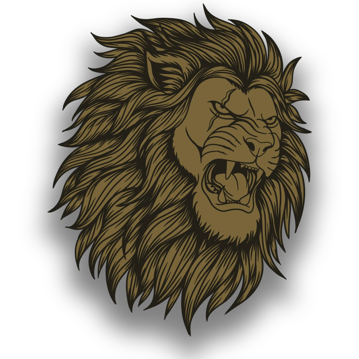 Sect of the Marshall | House Orbeck Wiki | Fandom