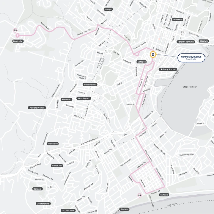 Dunedin Bus 55 | Orbus Wiki | Fandom