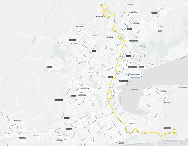 Dunedin Bus 3 | Orbus Wiki | Fandom