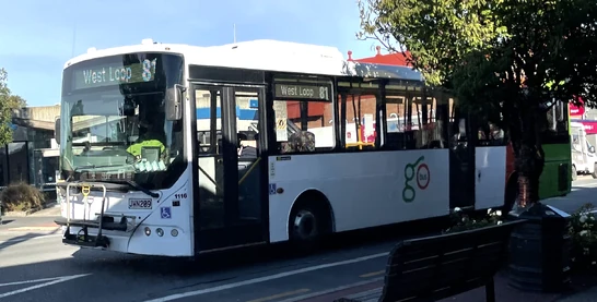 Dunedin Bus 81 | Orbus Wiki | Fandom