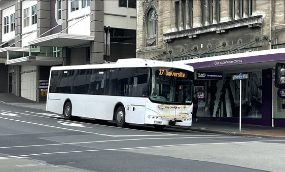 Dunedin Bus 37 | Orbus Wiki | Fandom