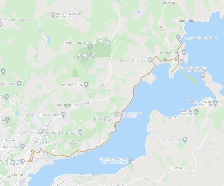 Dunedin Bus 14 | Orbus Wiki | Fandom