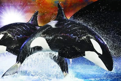 Takara | Orca tank Wiki | Fandom