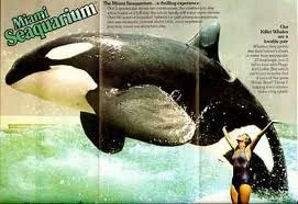 Hugo | Orca tank Wiki | Fandom