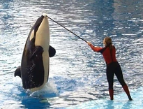 Tuar | Orca tank Wiki | Fandom