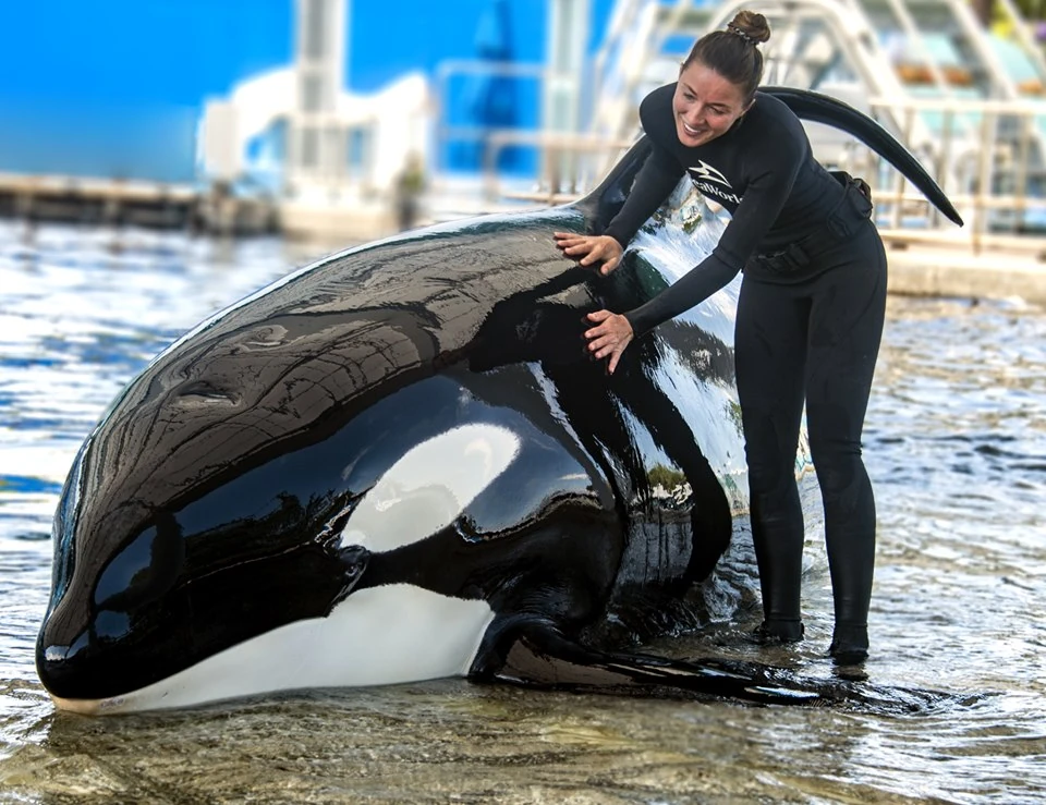 Trua | Orca tank Wiki | Fandom