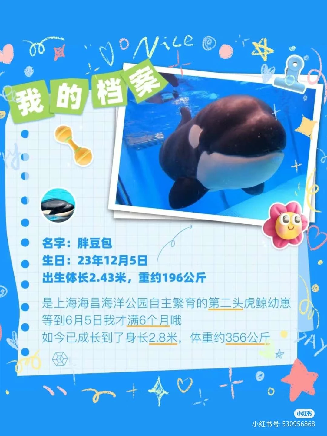 Zimo | Orca tank Wiki | Fandom