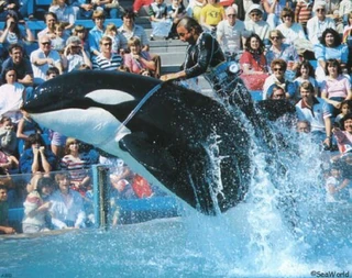 Kandu 5 | Orca tank Wiki | Fandom