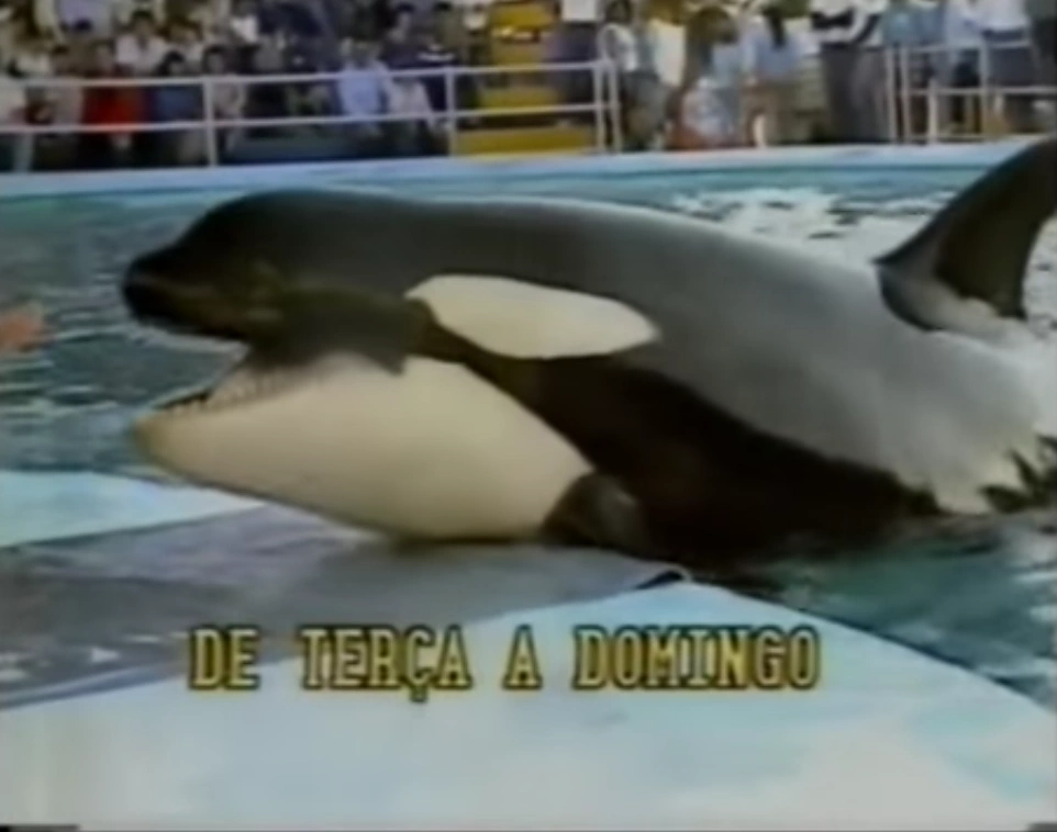 Nandu | Orca tank Wiki | Fandom