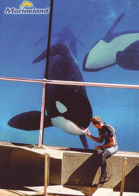 Kim 2 | Orca tank Wiki | Fandom