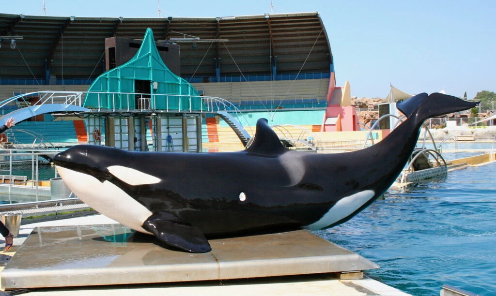 Freya | Orca tank Wiki | Fandom