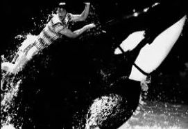 Category:Kanduke's Gallery | Orca Pod Wiki | Fandom