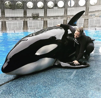 Category:Malia's Gallery | Orca Pod Wiki | Fandom