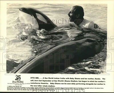 Category:Kandu 5's Gallery | Orca Pod Wiki | Fandom