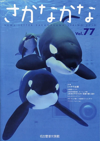 Category:Bingo's Gallery | Orca Pod Wiki | Fandom