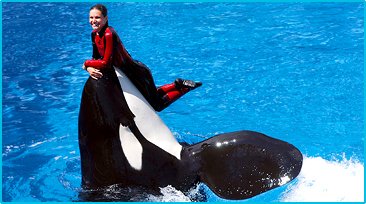 Category:Taku's Gallery | Orca Pod Wiki | Fandom