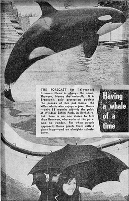 Category:Winston's Gallery | Orca Pod Wiki | Fandom