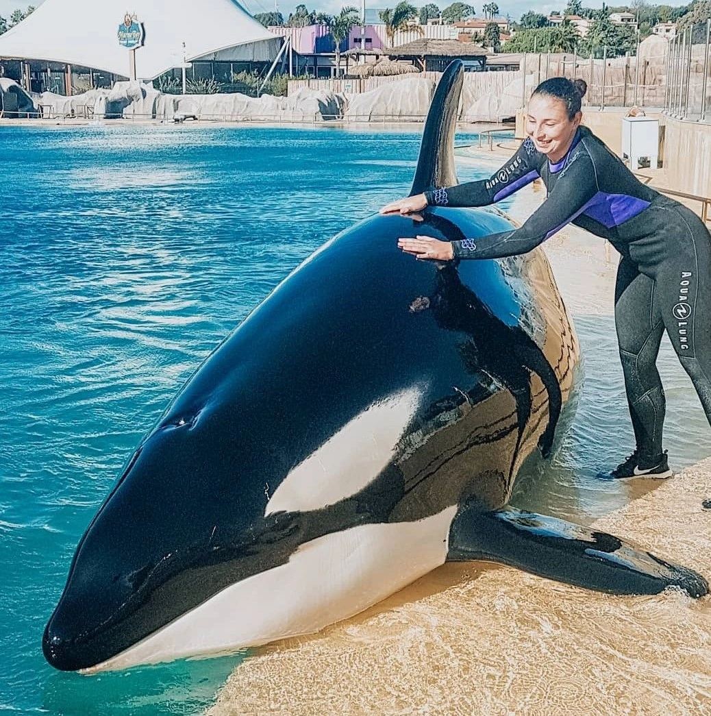 Category:Wikie | Orca Pod Wiki | Fandom