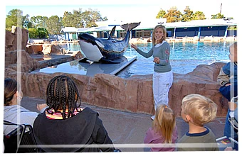 Category:Taima's Gallery | Orca Pod Wiki | Fandom