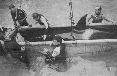 Category:Winnie's Gallery | Orca Pod Wiki | Fandom