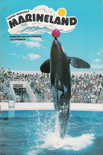 Category:Orky 2's Gallery | Orca Pod Wiki | Fandom