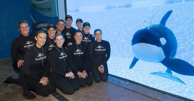 Category:Malia's Gallery | Orca Pod Wiki | Fandom