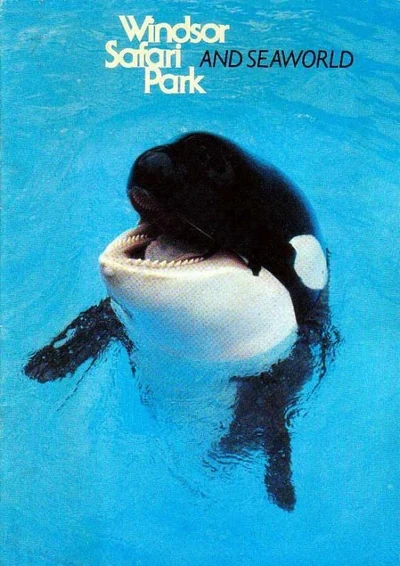 Category:Winnie's Gallery | Orca Pod Wiki | Fandom