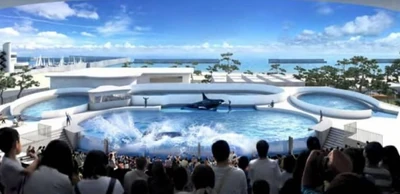 Category:Kobe Suma Sea World's Gallery | Orca Pod Wiki | Fandom