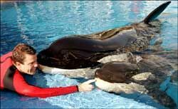 Category:Tekoa's Gallery | Orca Pod Wiki | Fandom