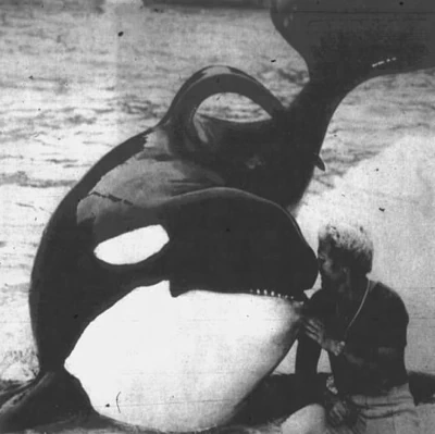 Category:Winston's Gallery | Orca Pod Wiki | Fandom