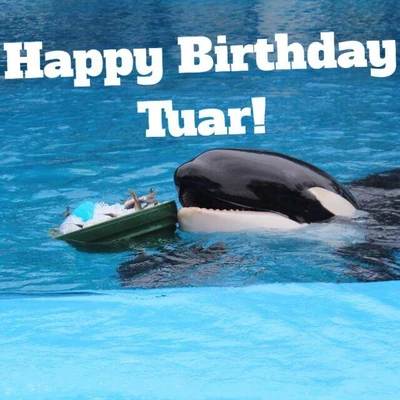 Category:Tuar's Gallery | Orca Pod Wiki | Fandom