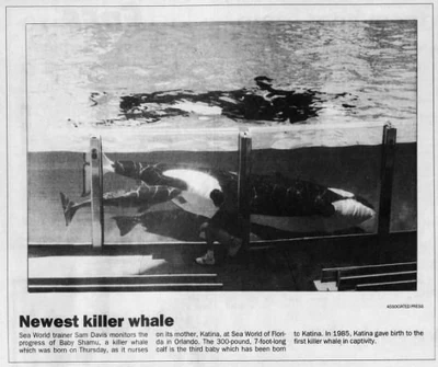 Category:Taku's Gallery | Orca Pod Wiki | Fandom