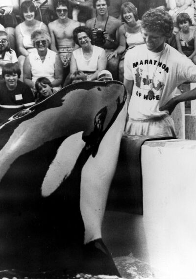 Category:Kanduke's Gallery | Orca Pod Wiki | Fandom