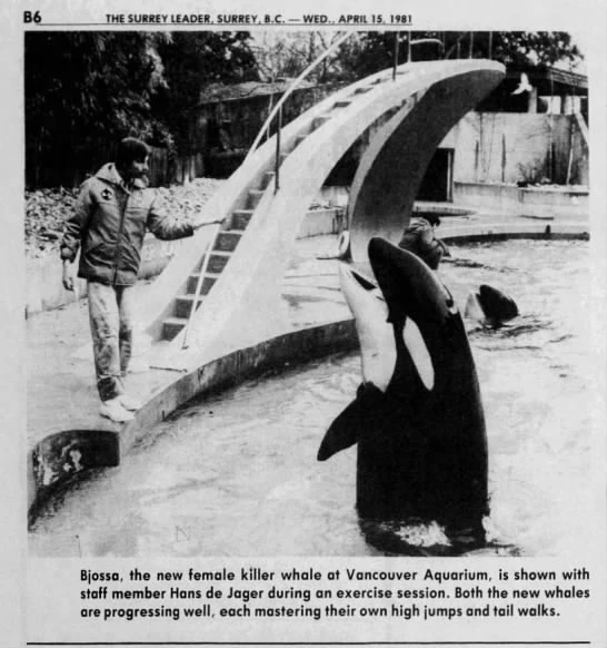 Category:Finna's Gallery | Orca Pod Wiki | Fandom