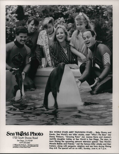 Category:Kandu 5's Gallery | Orca Pod Wiki | Fandom