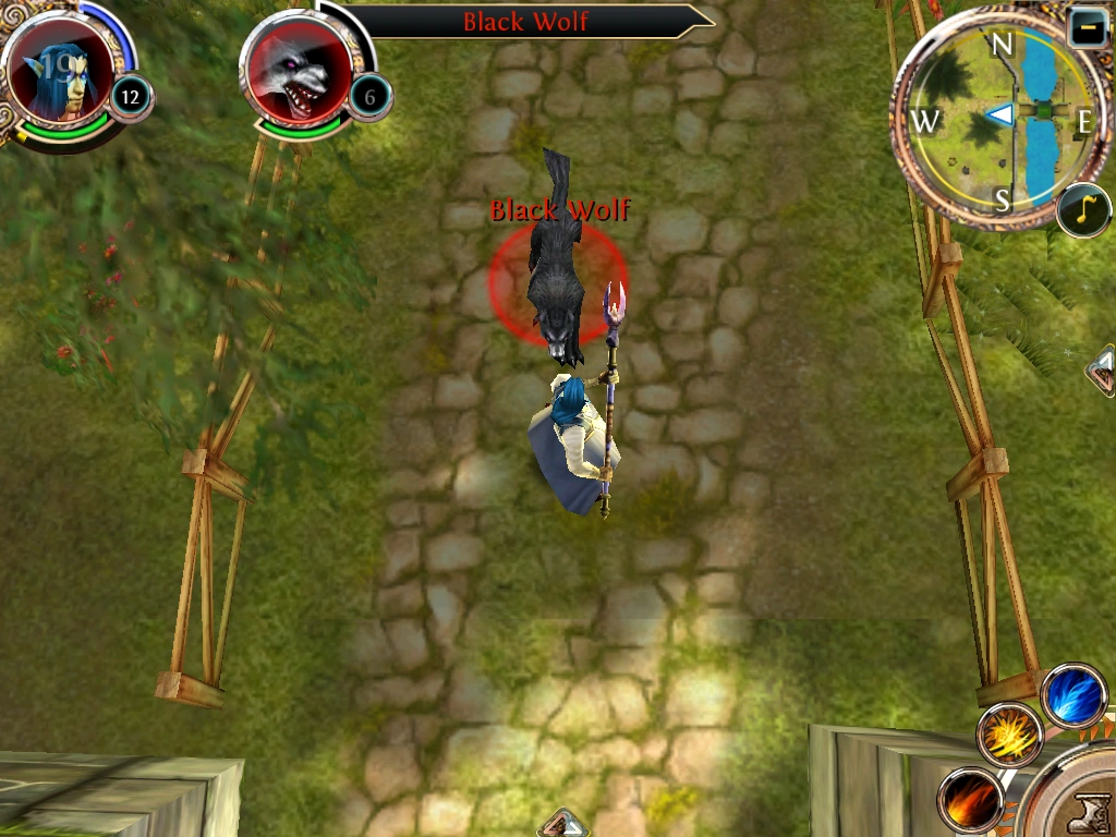 Black Wolf | Order and Chaos Online Wiki | Fandom