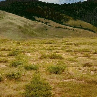 West End of the Lander Cutoff | Oregon Trail II Wiki | Fandom