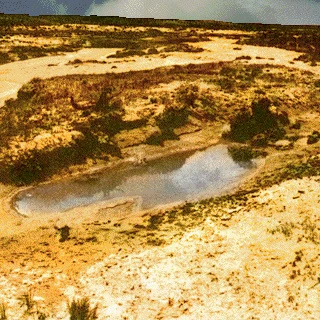 Dry Sandy | Oregon Trail II Wiki | Fandom