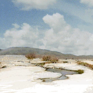 Forty Mile Desert (Carson Route) | Oregon Trail II Wiki | Fandom