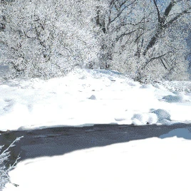 Cold Spring | Oregon Trail II Wiki | Fandom