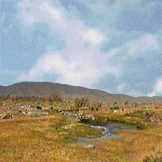 Forty Mile Desert (Carson Route) | Oregon Trail II Wiki | Fandom