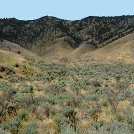Toano Range | Oregon Trail II Wiki | Fandom