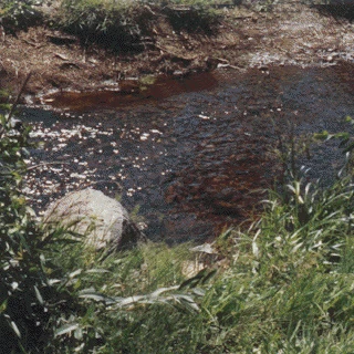 Scott Spring | Oregon Trail II Wiki | Fandom