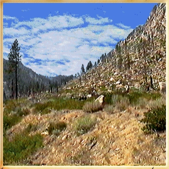 Carson Pass | Oregon Trail Wiki | Fandom